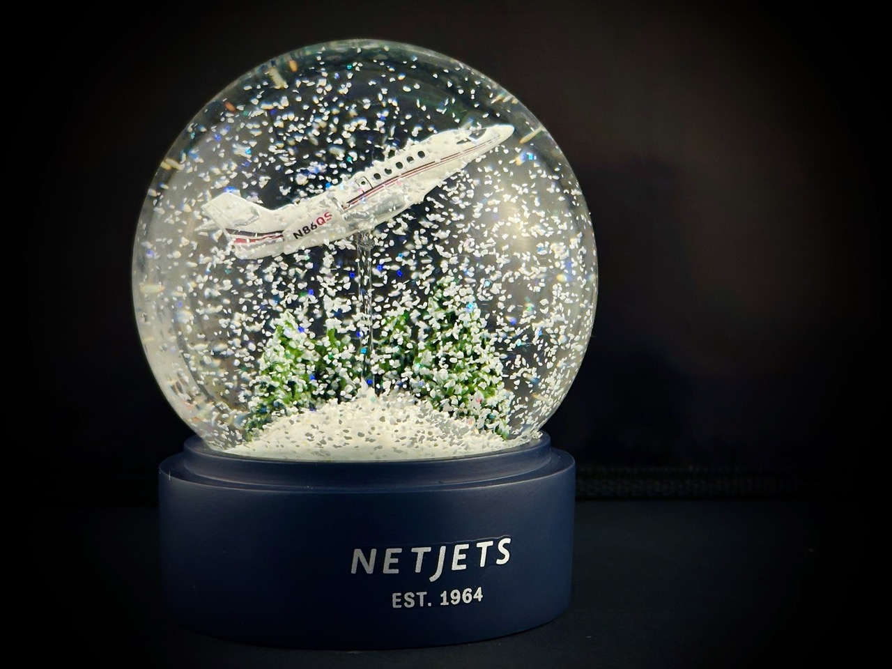 Netjets - Queen of Snow Globes
