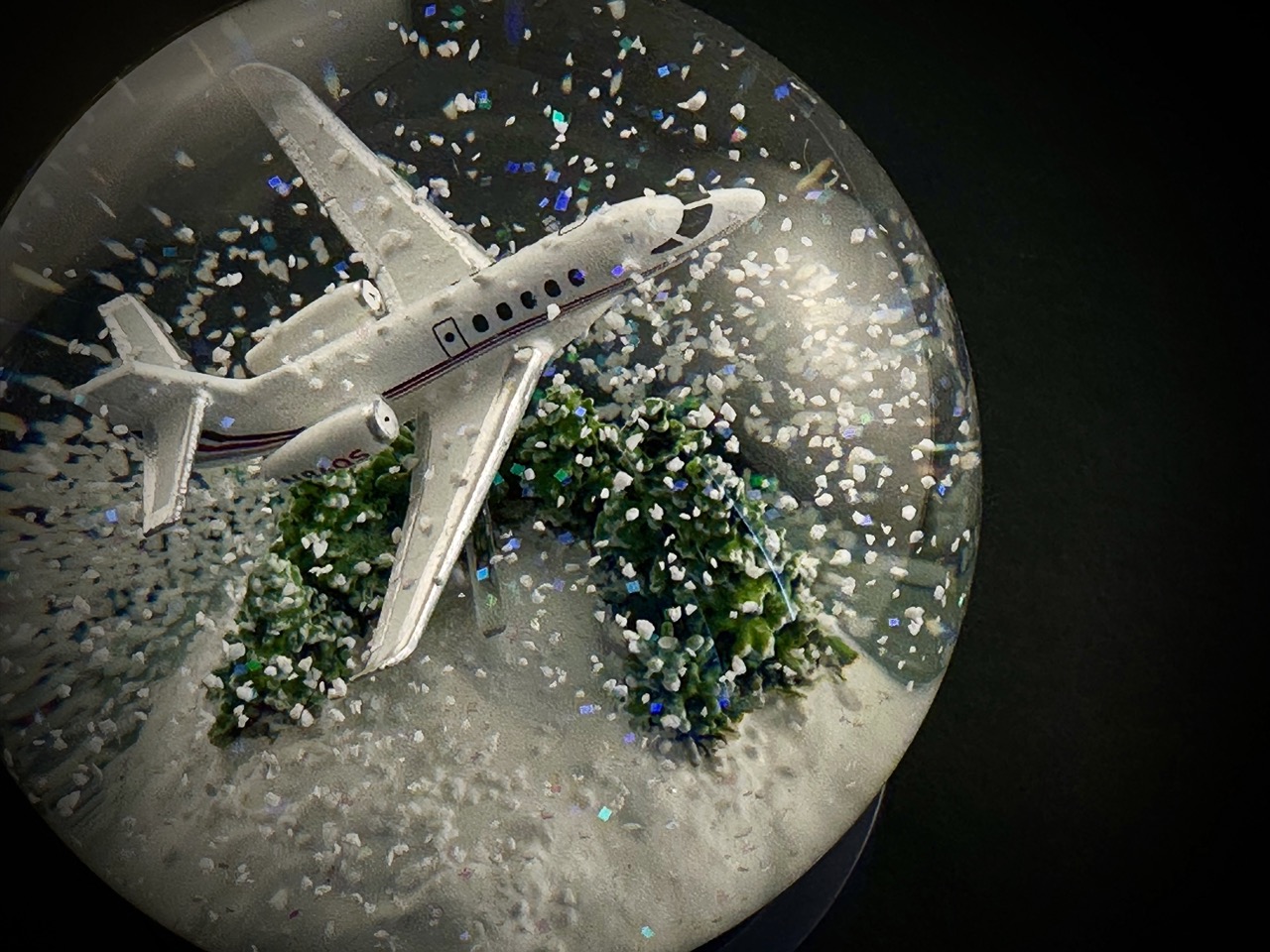 Netjets - Queen of Snow Globes