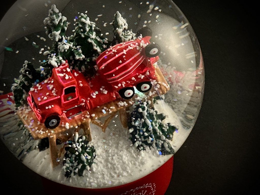 Custom Snow Globes, Maker to the Stars - Premium Custom Snow Globes